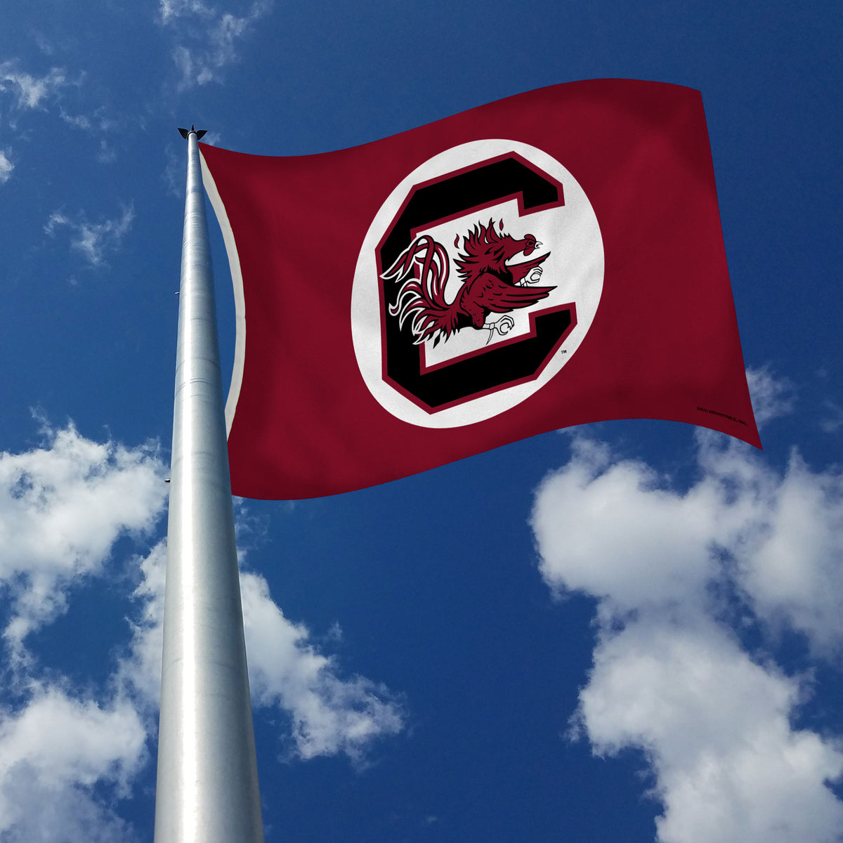 3'x5' South Carolina Gamecocks Flag – Service First Products