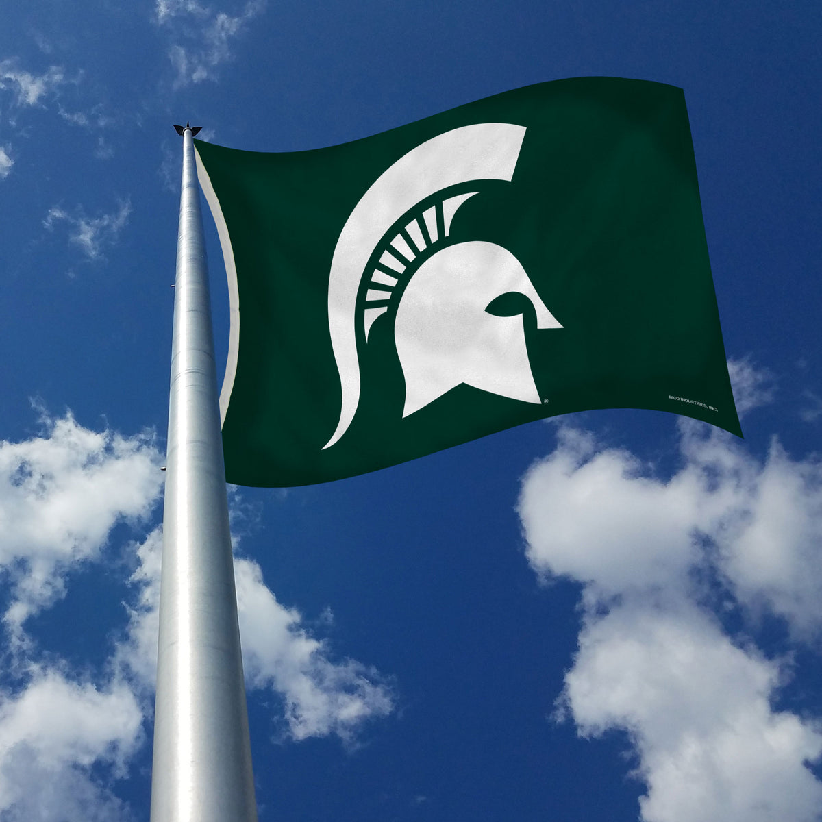 3'x5' Michigan State Spartans Flag – Service First Products